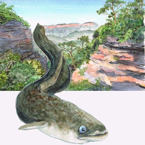 Stories alphabetically by D’harawal title – D'harawal dreaming stories